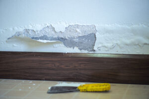 The Essentials of Exterior Lead Paint Renovation, Repair, and Painting ...
